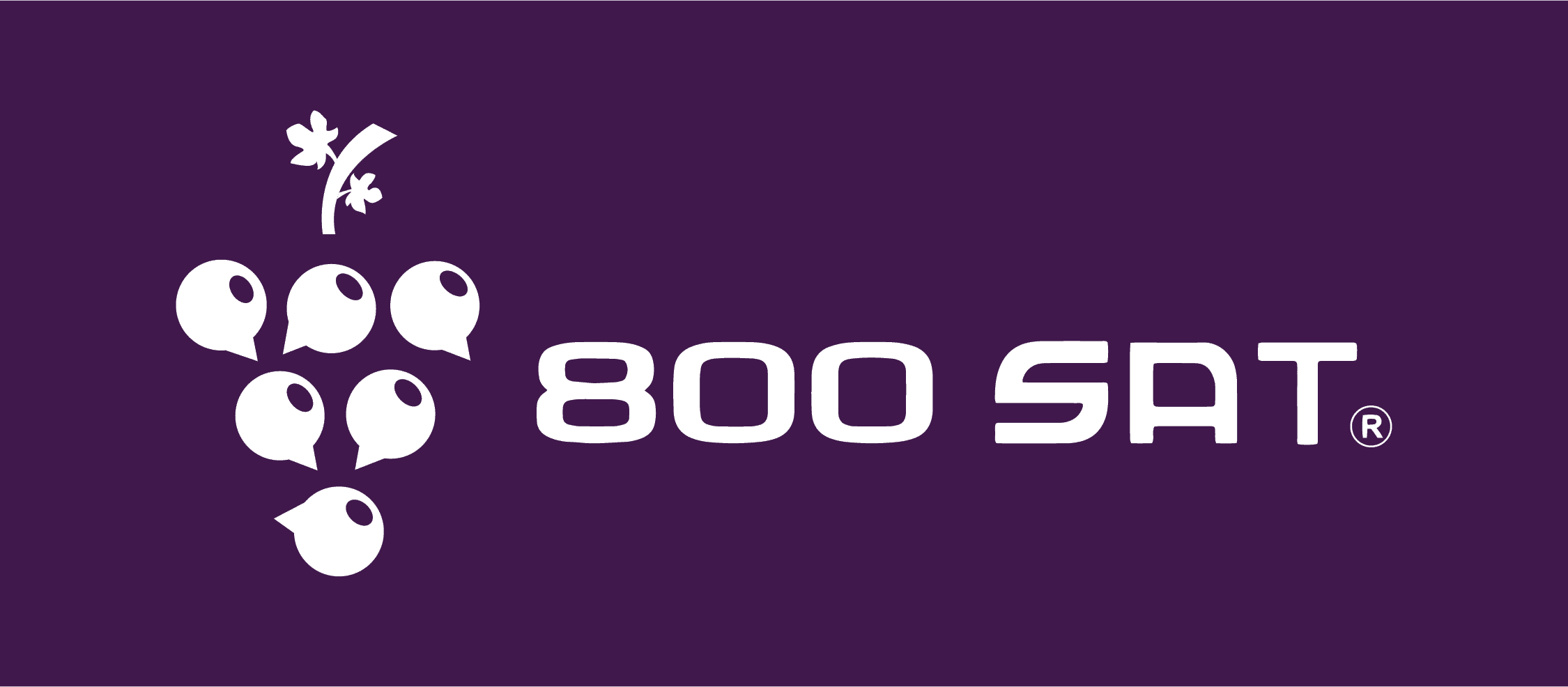 AP Purple Module Layal Jaber completion of payment - 800 SAT - American & British Programs